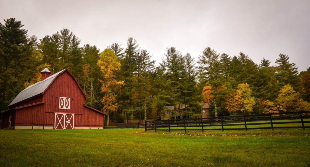 Wildcat Farm
